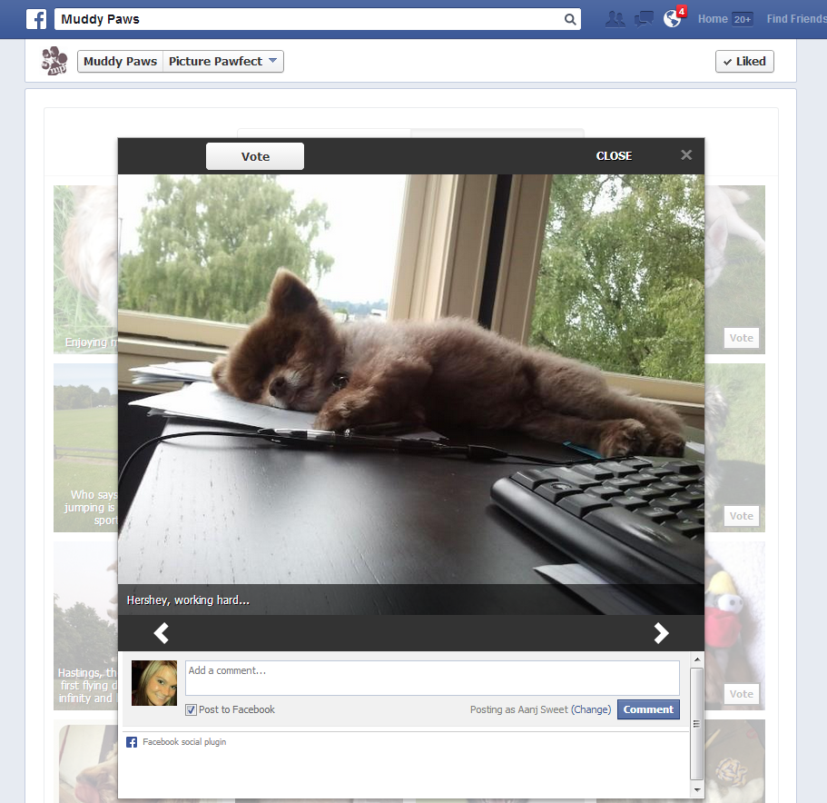 Woobox Photo Contest App